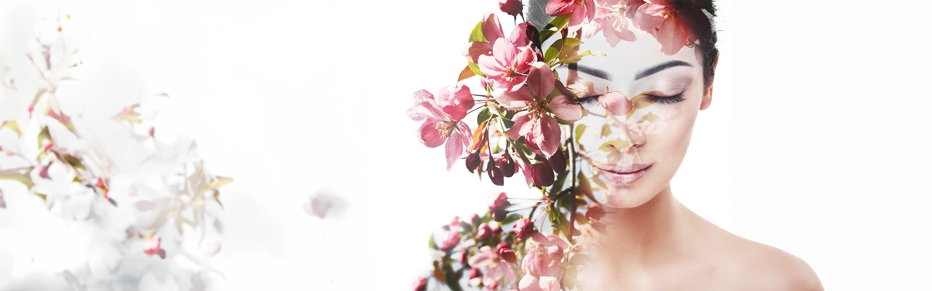 Who We Are – Skin Elements Limited